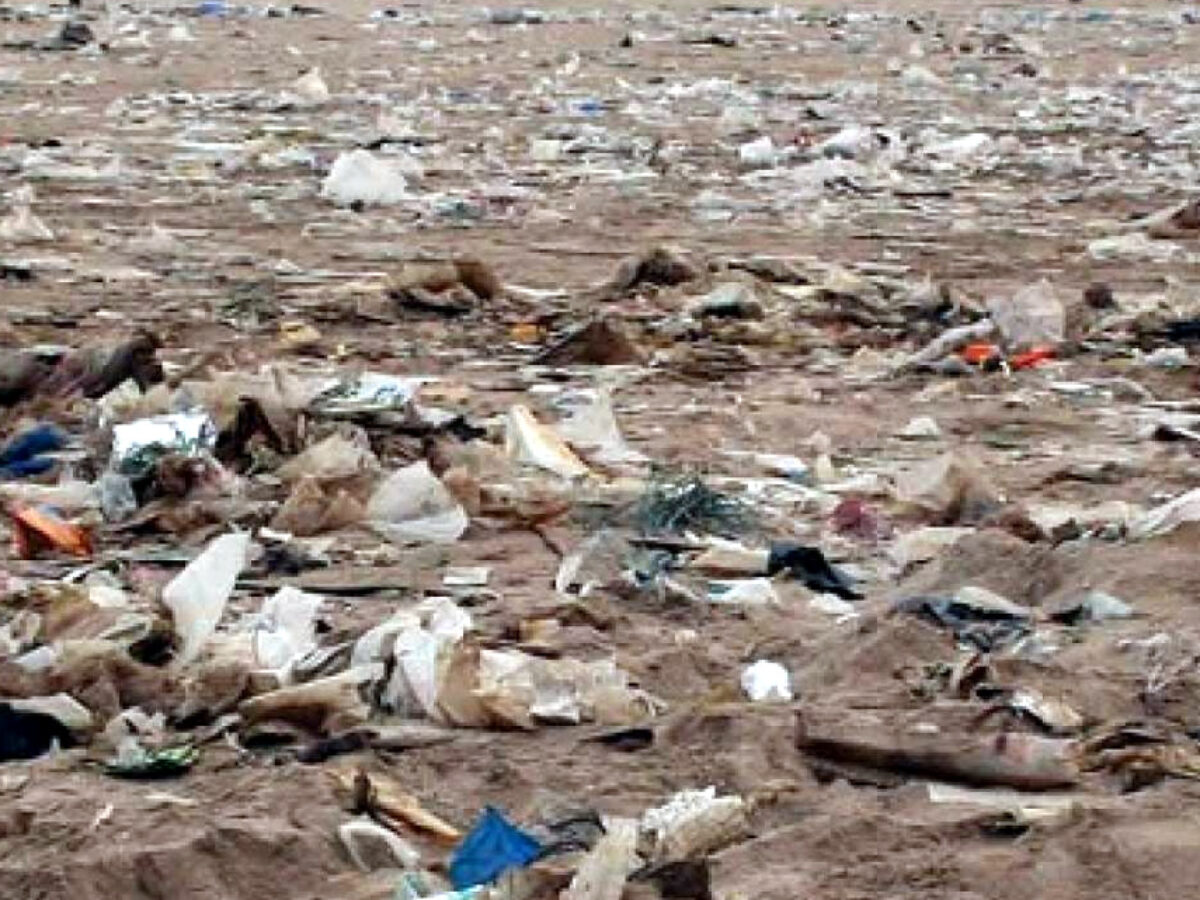 Sources Of Land Pollution Cartoon